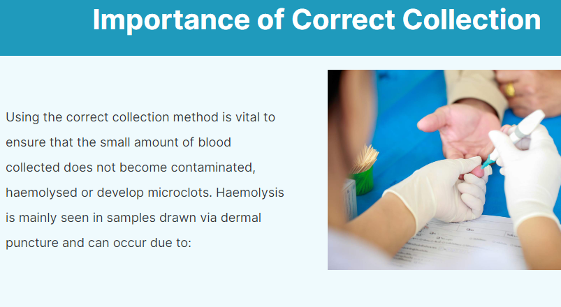 Phlebotomist Training – Learning Paths